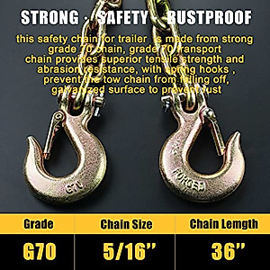 AYMMIC Trailer Safety Chain Grade 70 5/16" x 36",2pcs,Each Fitted with 2 Clevis Slip Hook with Latch end Fitting,Working Load Limit:4,700 Lbs,for Heavy Duty Traile and Gooseneck Couplers