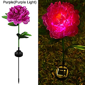 Aolyty Solar Flower Garden Lights, Single Head Solar Peony Light, Outdoor Decoration Solar Stake Lights, 2 Pack IP65 Waterproof LED Landscape Light for Pathway Walkway Patio Lawn Garden (Purple)
