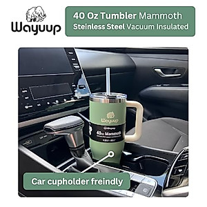 Wayuup 40 oz Tumbler with Handle and Straw Lid, Stainless Steel Vacuum Insulated Double Wall Water Bottle Leak-proof, Non Slip more than 24 Hrs or Hot for 6 Hrs (Crocodile), WPM40
