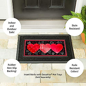 Evergreen Sassafras Valentine's Heart Interchangeable Entrance Doormat | Indoor and Outdoor | 22-inches x 10-inches | Non-Slip Backing | All-Season | Low Profile | Home Décor
