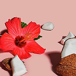 SheaMoisture Body Scrub for Dull Skin Illuminating Coconut and Hibiscus Cruelty-Free Skin Care 12 oz