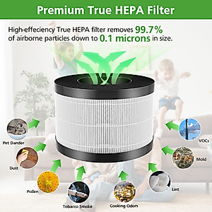2 Pack of AP01 H13 HEPA Replacement Filter Only Compatible with Hi mox AP01(H01) Air Purifier, High-Efficiency 3-Stage Filtration for Hi mox AP01 Replacement Filter【Not Fit for Ganiza A10】