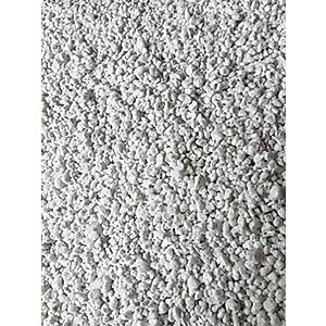 Natural Horticultural Perlite (1 Quart)