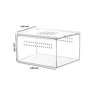 NANEEZOO Acrylic Reptile Breeding Box, 5x4x3 Inch Nano Flat/Long Enclosure Transparent Reptile Breeding Box Terrarium Cage Tank for Tarantula Scorpion Sling Isopods Invertebrates Insect Mantis