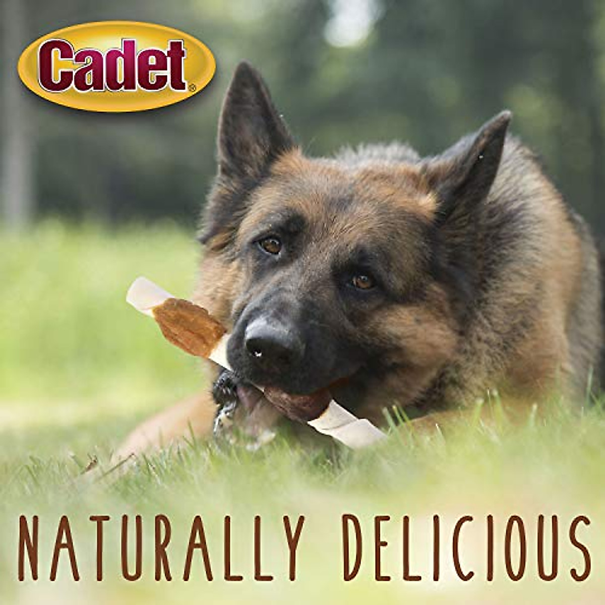 Cadet Gourmet X-Large Triple-Flavored Beef Hide Shish Kabob Dog Treats - Healthy & Natural Chicken, Liver, & Sweet Potato Dog Treats for Dogs Over 30 lbs., 10 in. (2 Count)