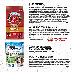 Purina Bundle Pack Adult Dry Dog Food and Treats, ONE Chicken and Rice Formula with DentaLife ActivFresh