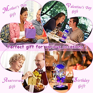 Valentines Rose Gifts for Her Birthday Flower Gift for Women, Galaxy Purple Butterfly Rose in Glass Dome, Light Up Forever Rose Birthday Gifts for Mom Anniversary Valentine's Day Eternal Rose Gift
