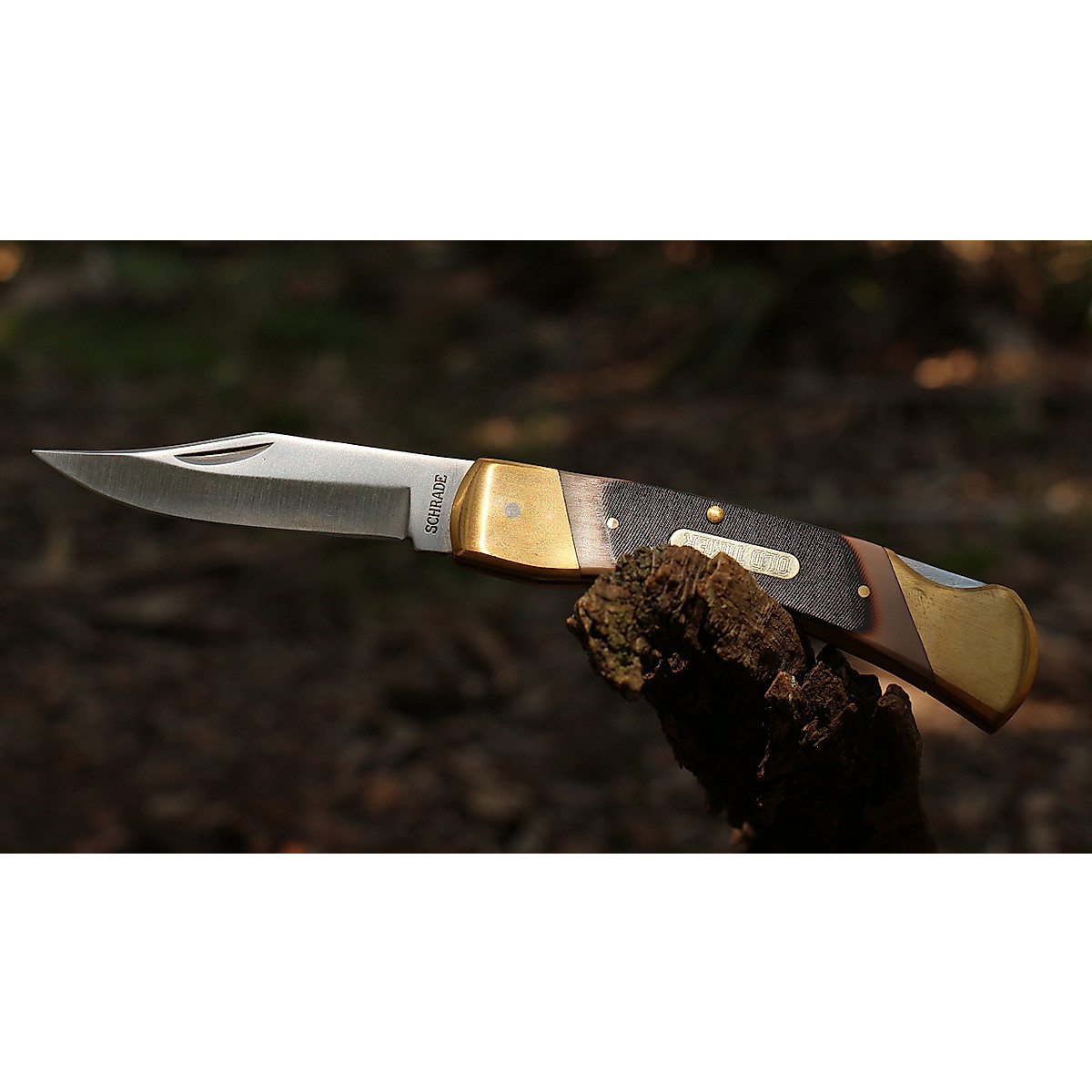 Old Timer 7OT Cave Bear Traditional Lockback Pocket Knife with 3.9in High Carbon Stainless Steel Blade, Sawcut Handles, and Leather Belt Sheath for Hunting, Camping, Whittling, EDC, and Outdoors