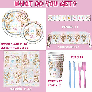 Gender Reveal Decorations, Bear Themed Gender Reveal Plates And Napkins for What Will Baby Be Pink Blue Baby Shower, He or She Gender Reveal Balloon Party Favors