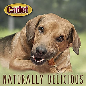 Cadet Gourmet Chicken Wrapped Biscuit Dog Treats 14 oz.