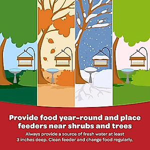 Kaytee Wild Bird Nut & Fruit Seed Treat Bell