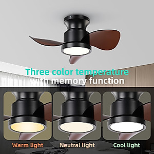 Roomratv Ceiling Fans with Lights 22 inch Quiet Ceiling Fan Large Airflow Remote Control 3 Color Temperature for Bedroom Kitchen Dining room Patio（Black）