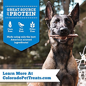 Fresh Field Salmon & Sweet Potato Jerky Chips, 5 oz – All-Natural Dog Treats, USA Made, No Fillers, Omega-3 Rich