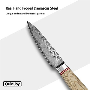 Qulajoy Paring Knife - Japanese Paring Knife with VG10 Damascus Steel, Ultra Sharp 3.5 inch Fruit and Vegetable Knife, Ergonomic Wood Handle