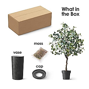 Artificial Tree in Geometric Spiral Pattern Planter, Fake Eucalyptus Silk Tree for Indoor and Outdoor Home Decoration - 66" Overall Tall (Plant Pot Plus Tree)