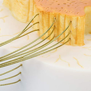 Axis Scientific Enlarged Spinal Cord Model, 8X Life Size Nerves Plus Anterior and Posterior Nerve Roots and Spinal Ganglion - Includes Product Manual, and Base for Display