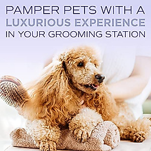 TropiClean SPA Lavish Dog Shampoo | Dog Whitening Shampoo For White Coats & All Other Coat Types | Naturally Derived Salon Grade Ingredients | Made in the USA | 1 Gallon