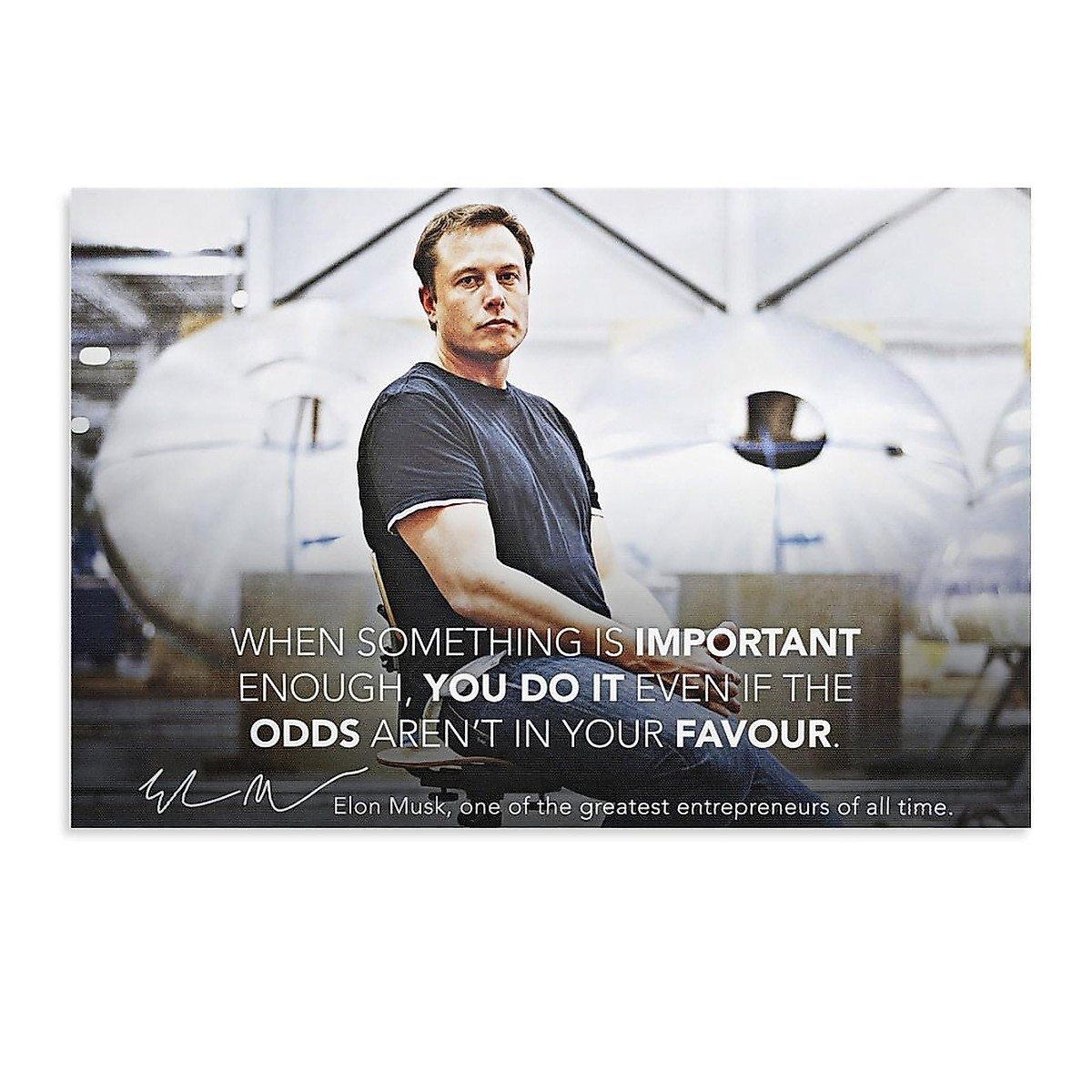 Elon Musk Motivational Poster Signed Entrepreneurs Quote Canvas Posters Prints UnFrame 18x12inch(45x30cm)
