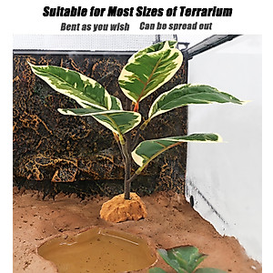 Woyrise Reptile Plants for Terrarium Decor, Amphibian Habitat Artificial Plant, Bearded Dragon Tank Accessories fit Gecko Lizard Chameleon Ball Python Snake Frog - Ficus Microcarpa