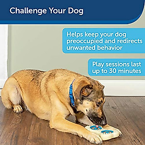 PetSafe Forever Bone Dog Chew Toy, Treat Holding Nylon and Rubber Textured Dog Toy for Aggressive Chewers, SMALL