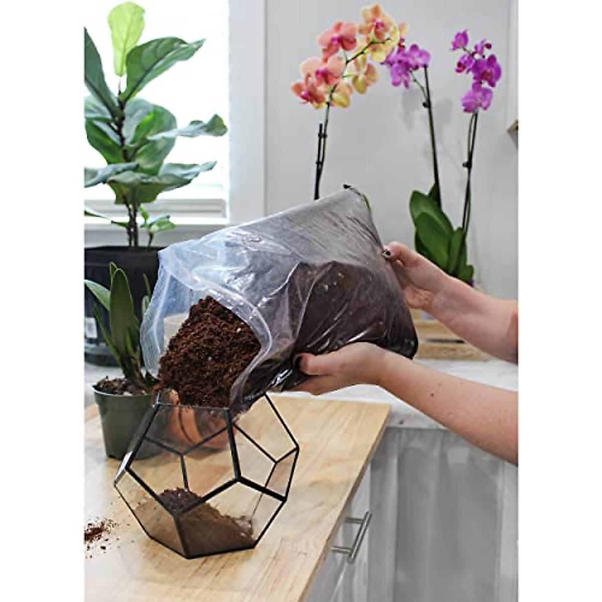 Terrarium Potting Soil Mix (4 Quarts), w/Blended Filtering Charcoal Custom Made for Terrariums