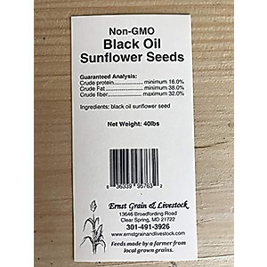 Homestead Harvest Ernst Grain Black Oil Sunflowers, Non-GMO (40 lb)