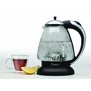 Capresso 259.04 H2O Plus Water Kettle, Matte Silver, 48-Ounce