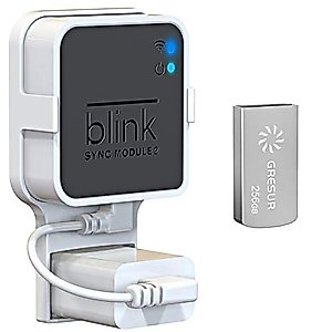256GB Blink USB Flash Drive for Local Video Storage with The Blink Sync Module 2 Mount (Blink Add-On Sync Module 2 is NOT Included)…