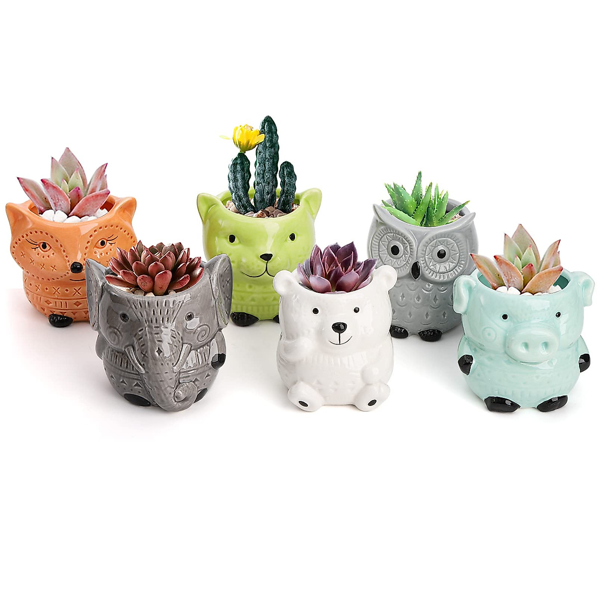 Frcctre 6 Pack Ceramic Succulent Pots, Small Succulent Planter Pots with Drainage and Bamboo Tray, Cute Animal Planting Pot Flower Pot Indoor Plant Pot for Succulent, Cactus, Garden Office Home Decor