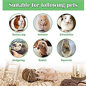 HWONMTE Hamster Toys Set, Guinea Pig Toy Natural Wooden Rabbit Bunny Rat Chinchillas Chew Toys Exercise Accessories for Small Animal Chewing and Teeth Care (9 Pack)