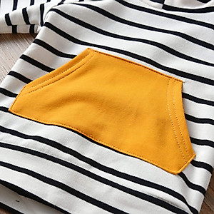 Rebey Toddler Infant Baby Boy Clothes Striped Long Sleeve Hoodie Tops Sweatsuit Pants Outfit Set (3-6 Months) Yellow