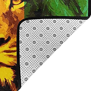 NiYoung Reggae Rasta Flag Lion King Area Rug, Bedroom Living Room Kitchen Rug, Doormat Floor Mat Standing Mat, Children Play Rug Carpet Bathroom Rug Mat, Throw Rugs Carpet Yoga Mat