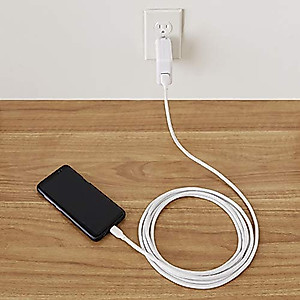 Amazon Basics Fast Charging 3A USB-C3.1 Gen1 to USB-A Cable - 10-Foot, White