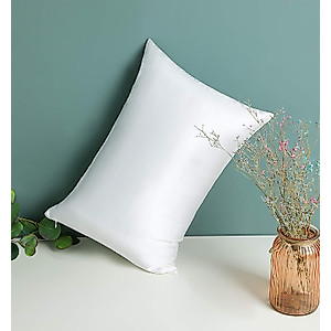 MEILIS 100% Mulberry Toddler Silk Pillow Cases for Kids Solid Printed Hypoallergenic Pillowcase for Kindergarten(14x20inch)