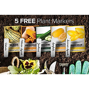 Squash Seeds for Planting 5 Individual Packets - Zucchini, Delicata, Butternut, Spaghetti and Golden Crookneck for Your Non GMO Heirloom Vegetable Garden by Gardeners Basics
