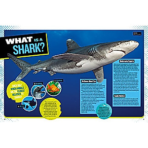 The Ultimate Book of Sharks (National Geographic Kids)