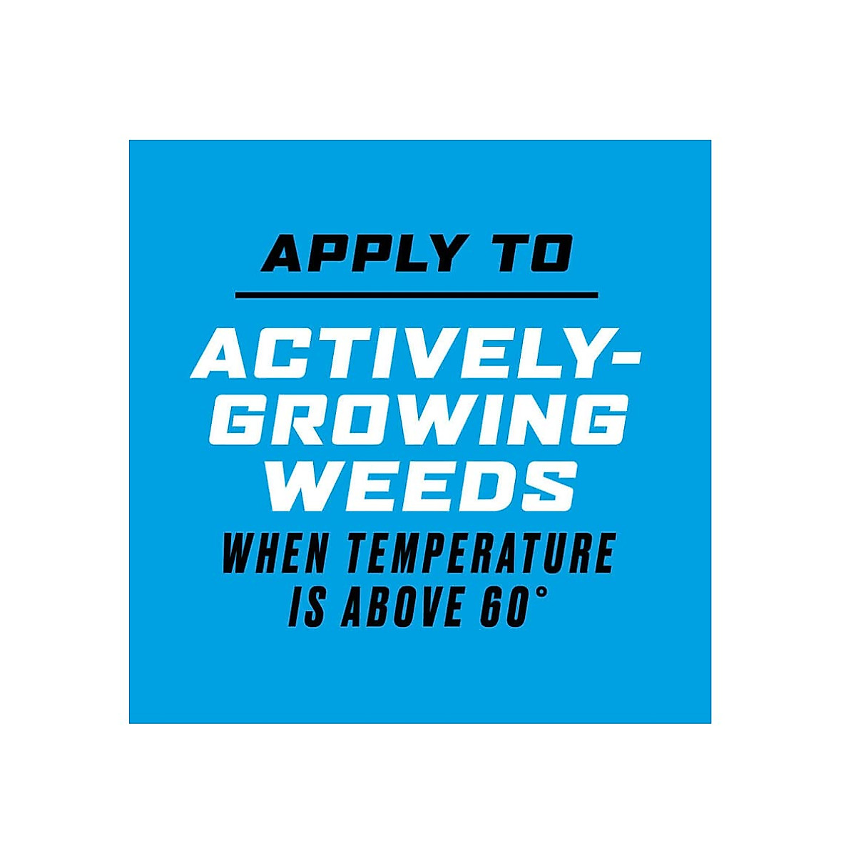 Groundclear Ortho Super Weed & Grass Killer, 24oz