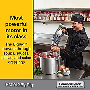 Hamilton Beach Commercial BigRig™ Immersion Blender - HMI012