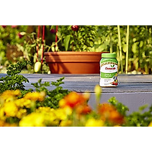 Osmocote Smart-Release Plant Food Flower & Vegetable, 1 lb.