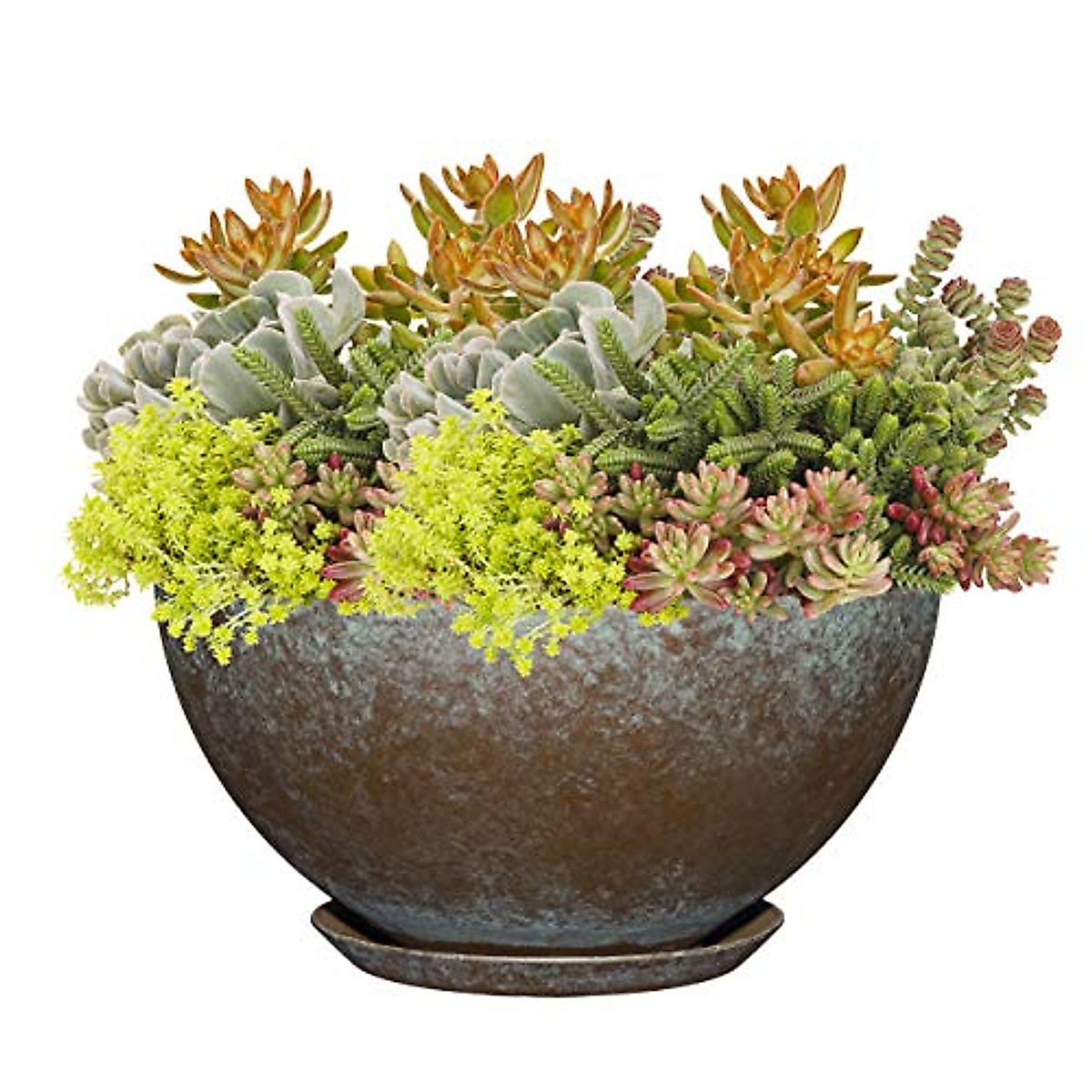 Classic Home and Garden 807-188T Premiere Collection Planter, Vogue 8", Earth