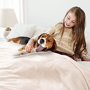 Bertte Plush Throw Blanket Super Soft Fuzzy Warm Blanket | 330 GSM Lightweight Fluffy Cozy Luxury Decorative Stripe Blanket for Bed Couch - 50"x 60", Ivory White