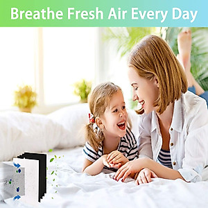 Air Purifier Filter Replacement