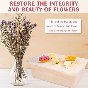 VOISEN Silica Gel Flower Drying, 5LBS Silica Gel for Drying Flowers,Color Indicating Flower Preservation Kit Contains Flowers Desiccant, Brush, Gloves, 6.7 L Plastic Box