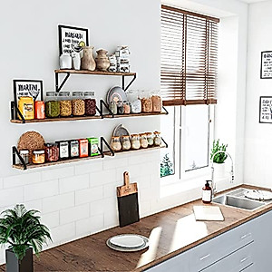 Wallniture Ponza 24" Floating Bookshelf, Wood Floating Shelves for Wall Storage, Rustic Wall Shelves for Bedroom, Living Room, Bathroom, Kitchen Set of 5