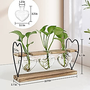 takfot Plant Propagation Station with Wood Stand, Terrarium Tabletop Glass Planter for Hydroponics Air Plants Home Office Decor, Plant Holder Lover Gifts for Women-3 Heart Shaped Vase
