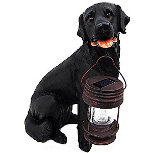 Black Labrador Dog with Lantern Garden Solar Light