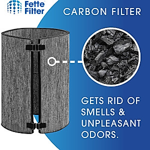 Fette Filter - Carbon Filter Replacement Compatible with Dyson K-Carbon, Compare to Part # 972133-02 & 972133-03 for Dyson Models BP03/BP04/BP06 Purifier Big+Quiet Formaldehyde Extra Large. 1-Pack
