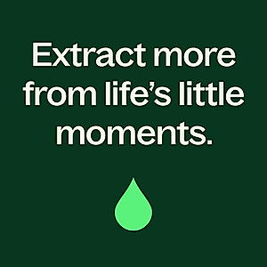 Plant Therapy Eucalyptus Sage Body Cream 8 oz Restore Softness & Ultra Hydration, Vitamins and Antioxidants to Soften, Smooth, and Firm Skin