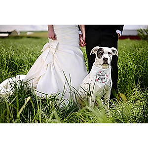 Ptzizi Funny My Humans are Getting Married White Pet Dog Bandana Bibs Scarf, Wedding Photo Prop Pet Accessories for Dog Lovers Gift