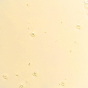 Derma E Bonding Hair Repair Oil – Nourishing Hair and Scalp Relief Treatment – Anti Frizz and Anti Breakage Formula Promotes Shine – Styling Oil for All Hair Types, 1 fl oz